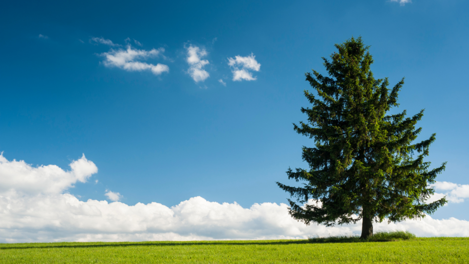 Seven Ways to Incorporate Evergreen Content Into Your Social Media ...